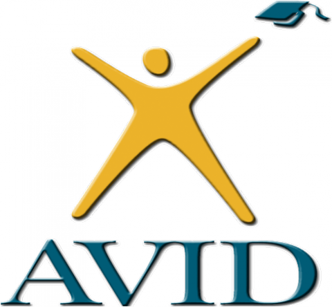 Avid Iva Secondary
